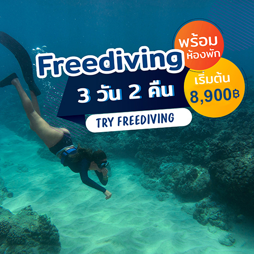 ซื้อแพ็กเกจทดลองดำน้ำ Freediving เกาะเต่าแบบ 3 วัน 2 คืน รวมที่พัก - Ticket2Attraction