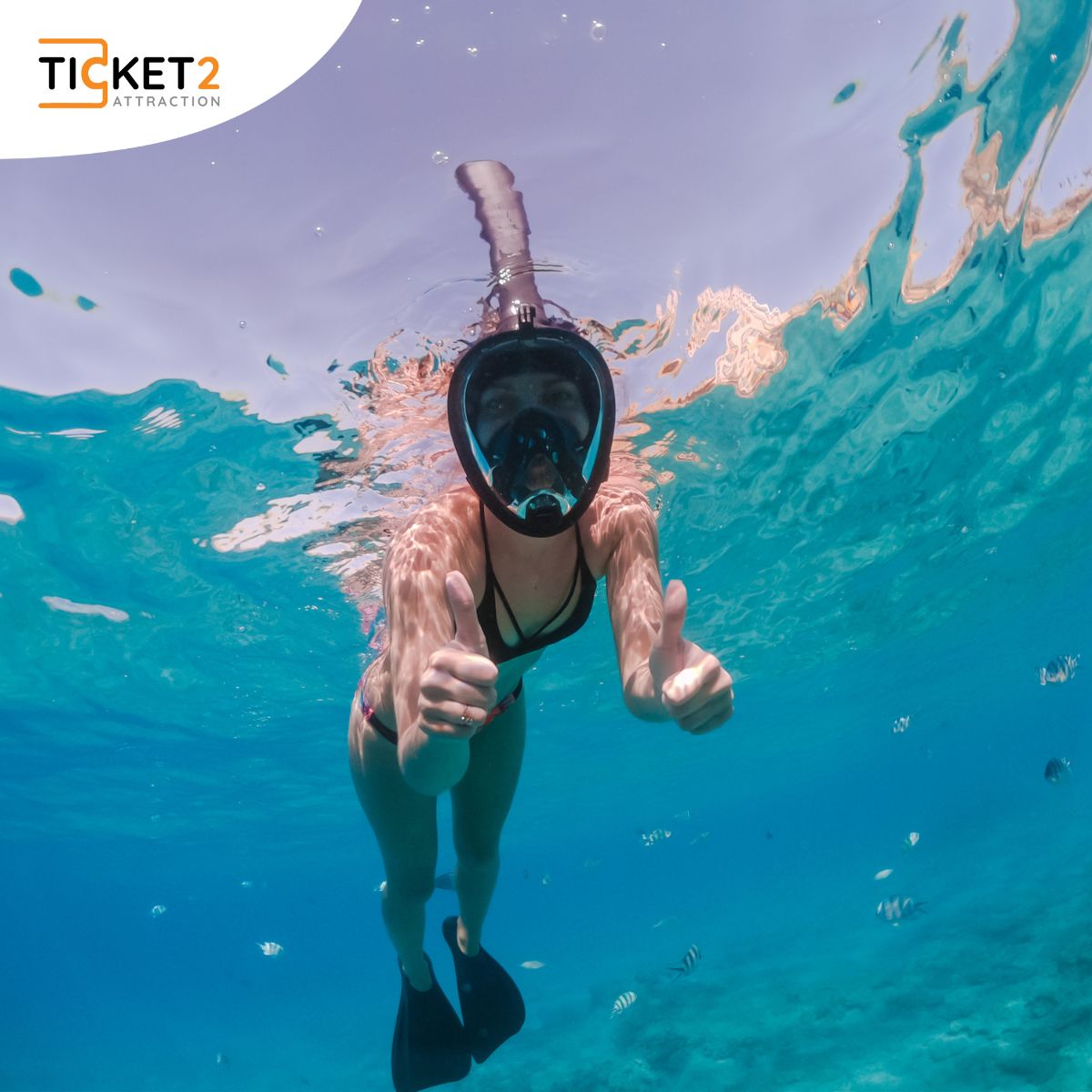 ซื้อทัวร์เกาะล้านพัทยา 1 วันพร้อมทำกิจกรรมในพัทยา - Ticket2Attraction