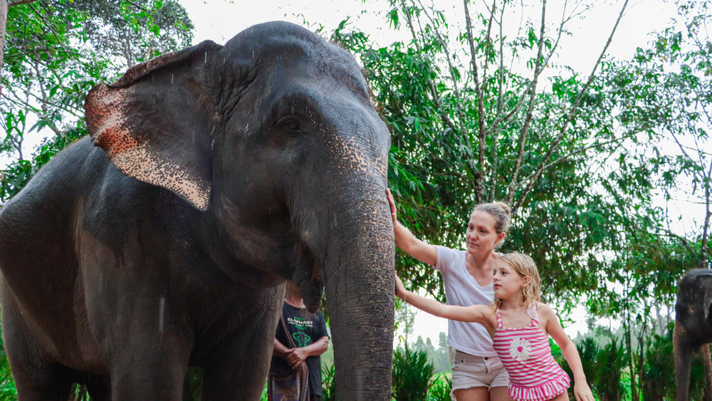 Join an Elephant Care Experience at Green Elephant Sanctuary Park Phuket - Ticket2Attraction