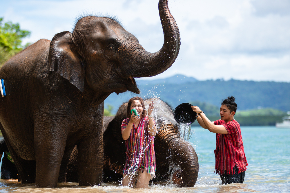 Book a Swim and Bathing the Elephants on the Sea Activity in Koh Siray ...