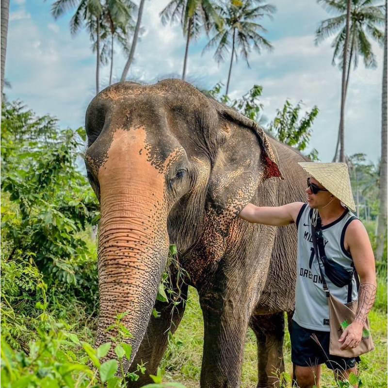 Samui Elephant Home: Elephant and Authentic way of life guided tour ...