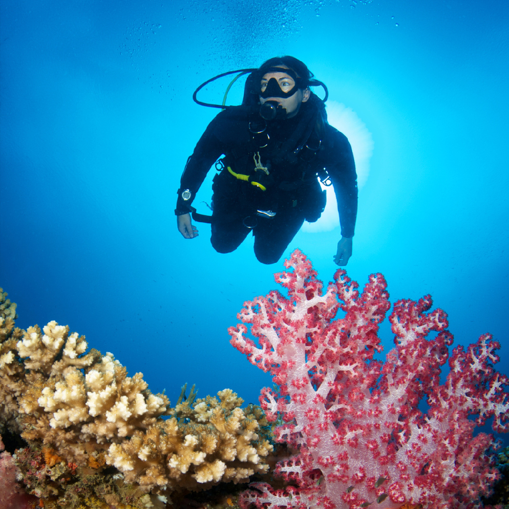 Book Discover Scuba Diving Half Day Tour at Koh Lipe - Ticket2Attraction