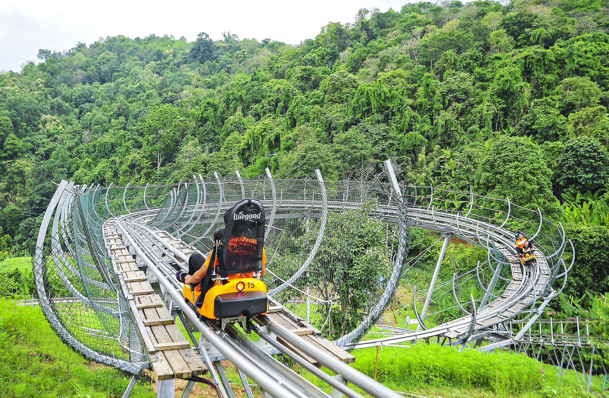Zipline and jungle coaster package with Transfer at Pongyang Jungle ...